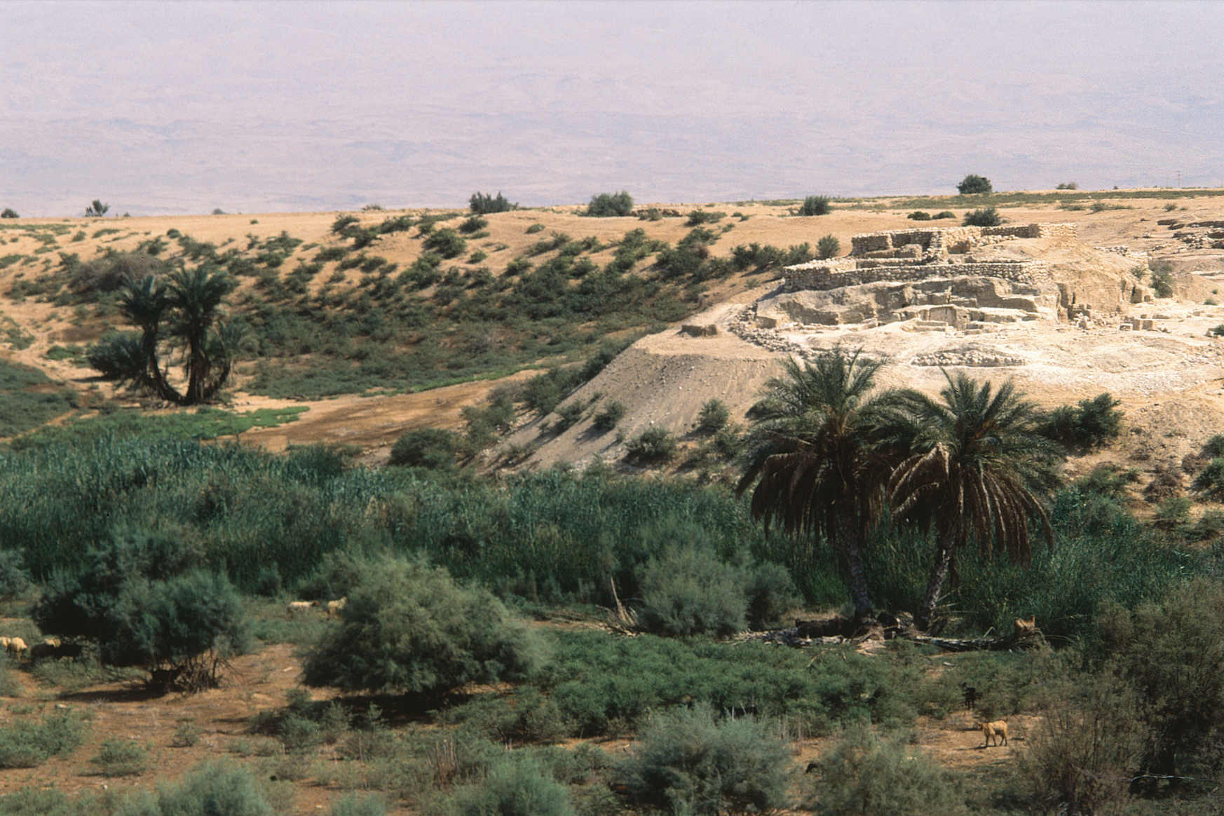 The Jordan River: A Fascinating Waterway